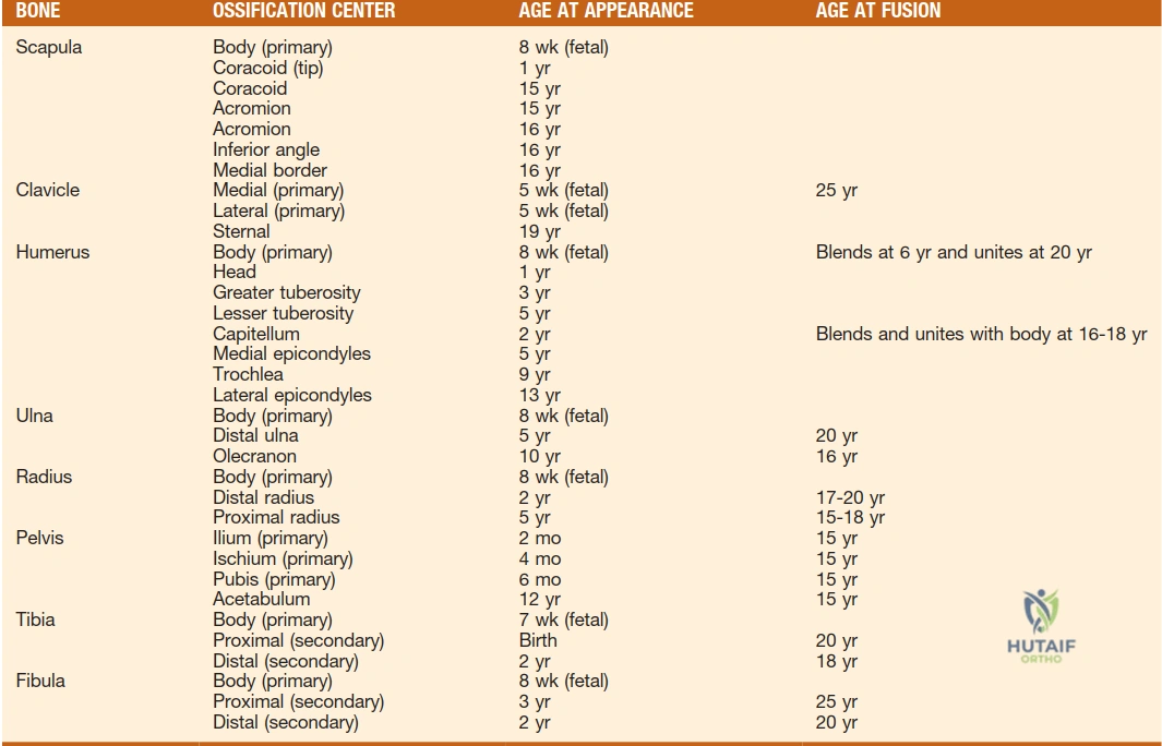 Bone Ossification Guide: Growth Plates & Orthopedics | Guide Chapter